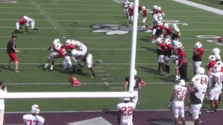 Alex Funches Spring Highlights