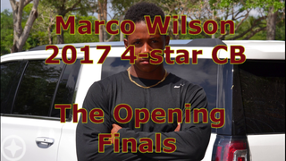 Marco Wilson from The Opening