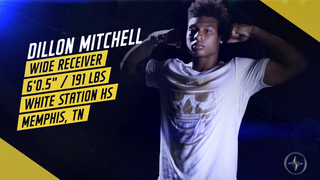 Dillon Mitchell White Station (Tenn.) Scout Spotlight