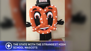 The state with the strange high school mascots