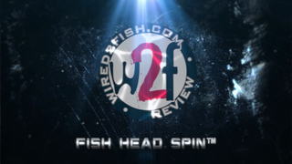 Swarming Hornet Fish Head Spin Underwater Video