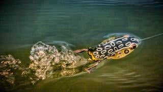 BOOYAH ToadRunner | What it Looks Like Underwater