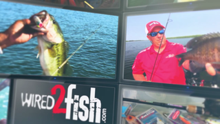 Wired2Fish Presents- Legend ALPHA 211