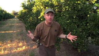 The Connections Between Hunting, Farming, Food and Life in Africa