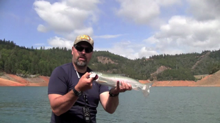 Spoon And Dodger Rig For Reservoir Trout
