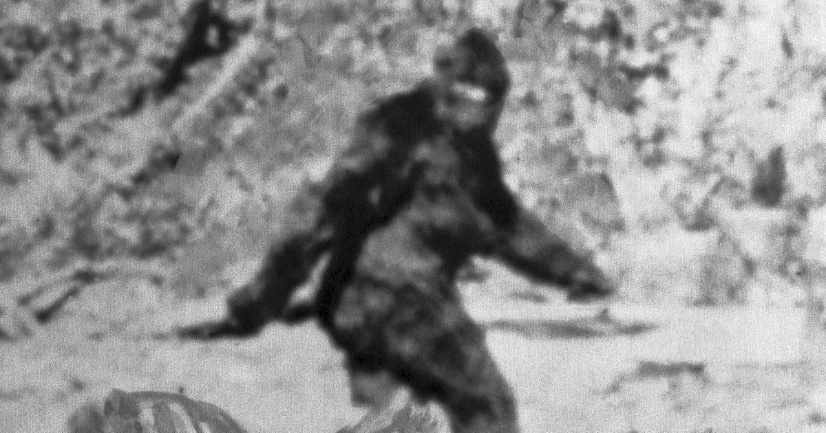 Bigfoot With 'Weird Smell' Leads to Latest Claim of Proof