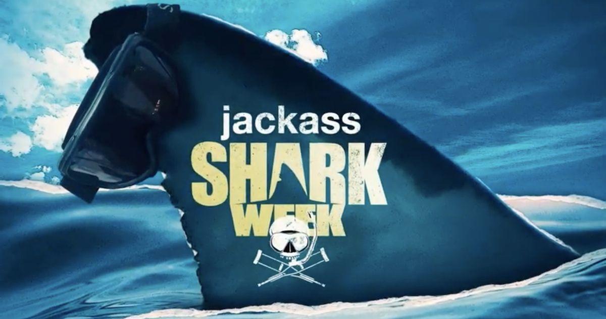 'Jackass' Star Suffers Shark Bite While Filming Wakeboard Stunt