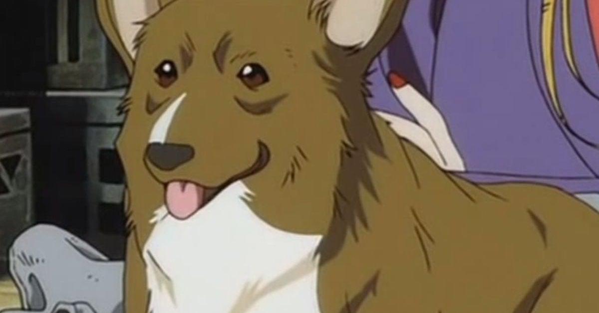 Netflix Celebrates Cowboy Bebop Cast with Ein Photo