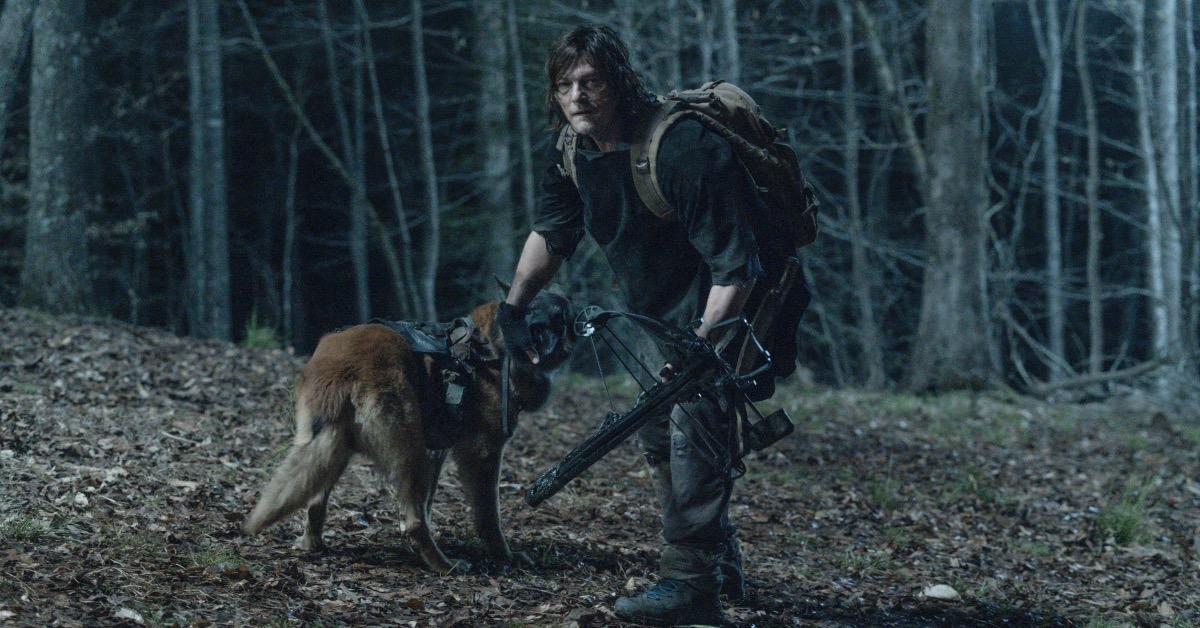Does Daryl's Dog Die on The Walking Dead?