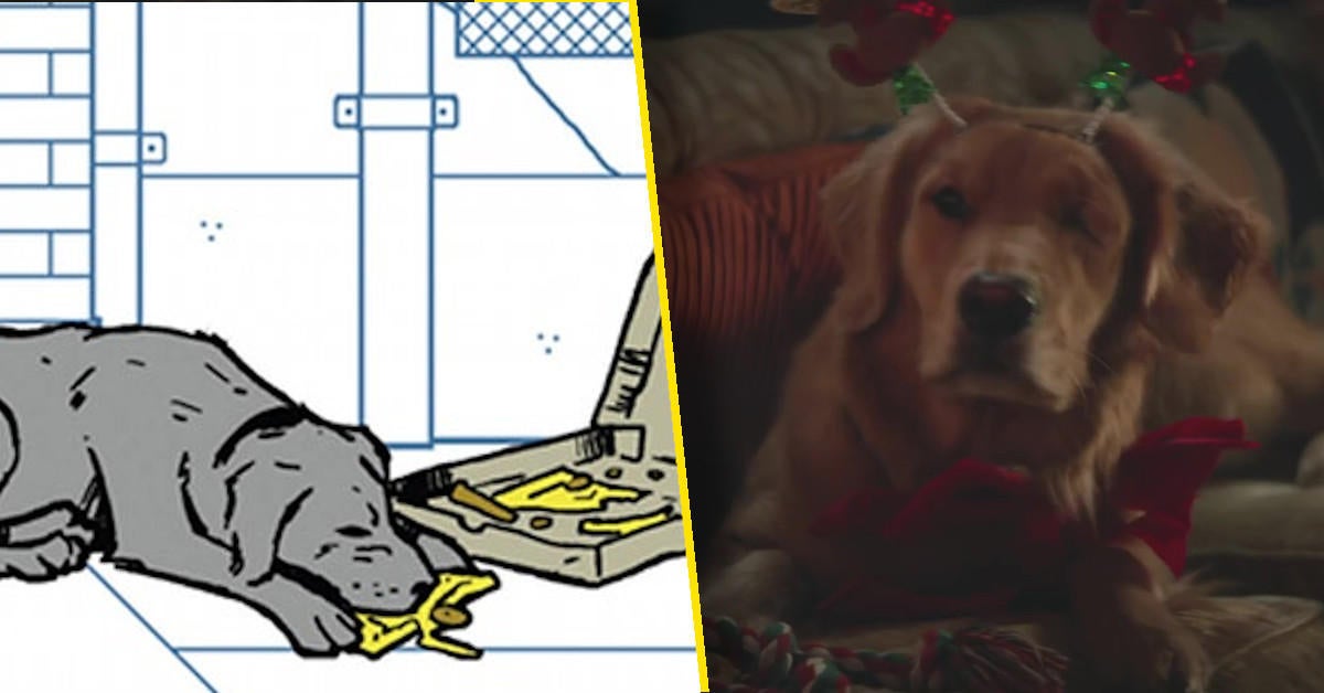 Lucky The Pizza Dog Fans Are Loving His Appearance In the Hawkeye Trailer