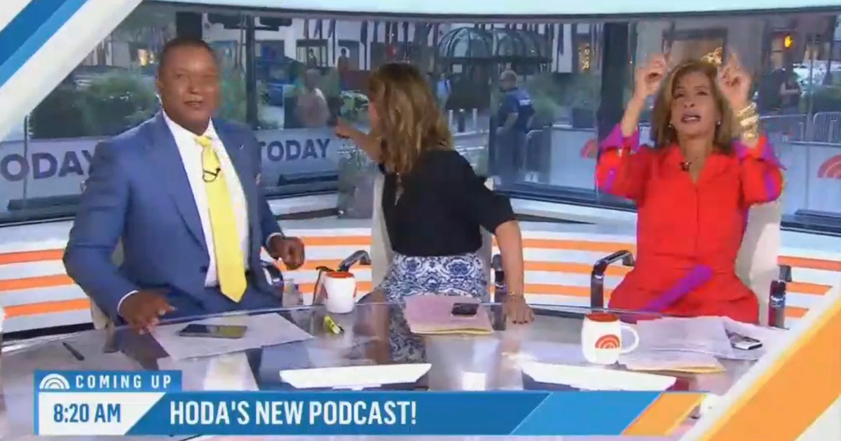 'Today' Show Team Responds After Getting Interrupted by Streaker