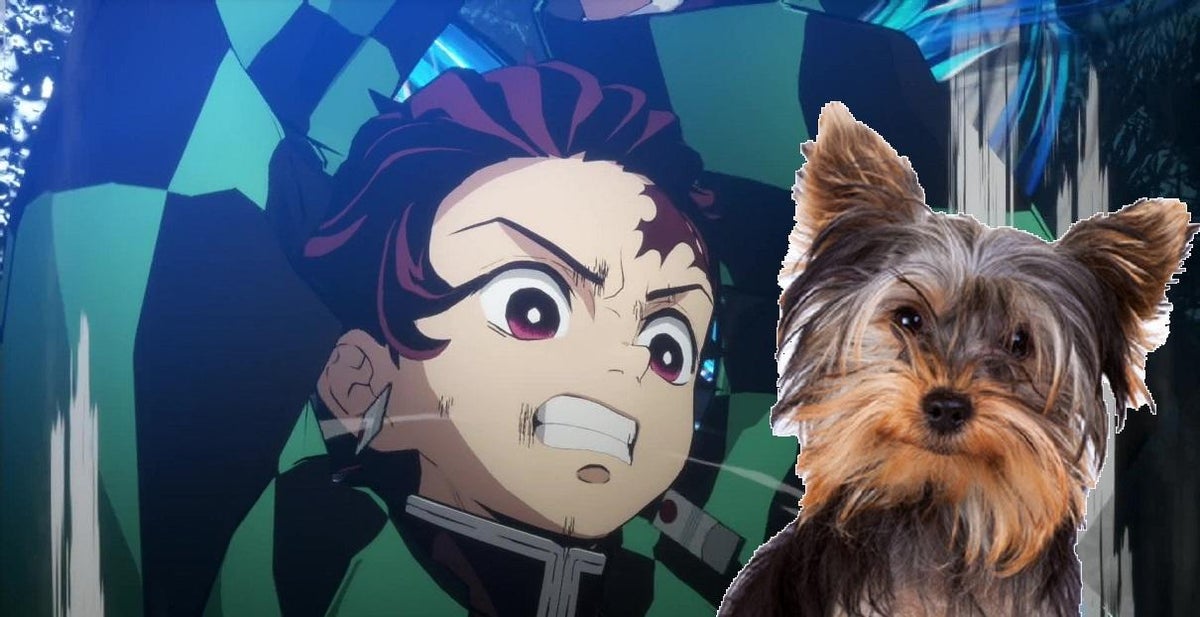 Demon Slayer Cosplay Introduces Canine Tanjiro