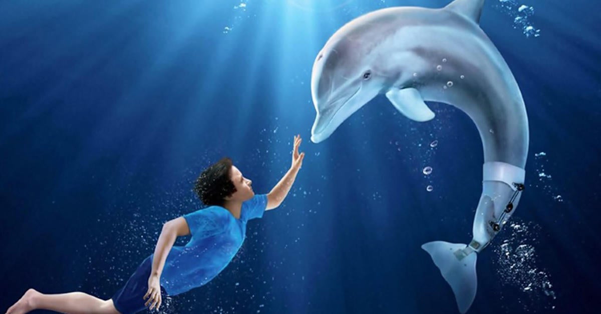 Winter The Dolphin From Dolphin Tale In Critical Condition