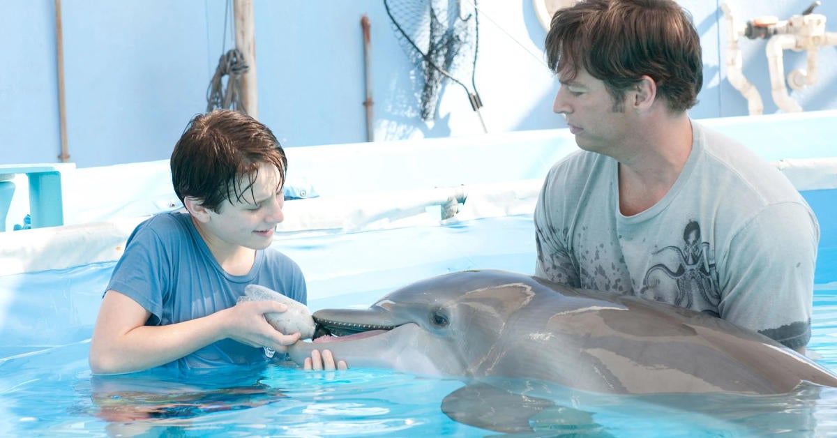 Winter, the Dolphin From Dolphin Tale, Dies at 16