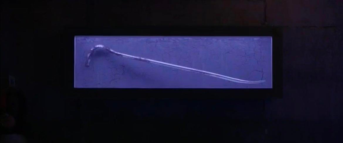 Did Batwoman Just Hint Jason Todd's Murder Happened in the Arrowverse?