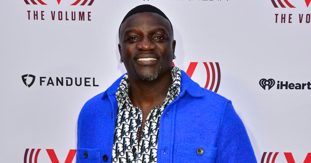 Akon Accused of Running 'Ponzi Schemes'