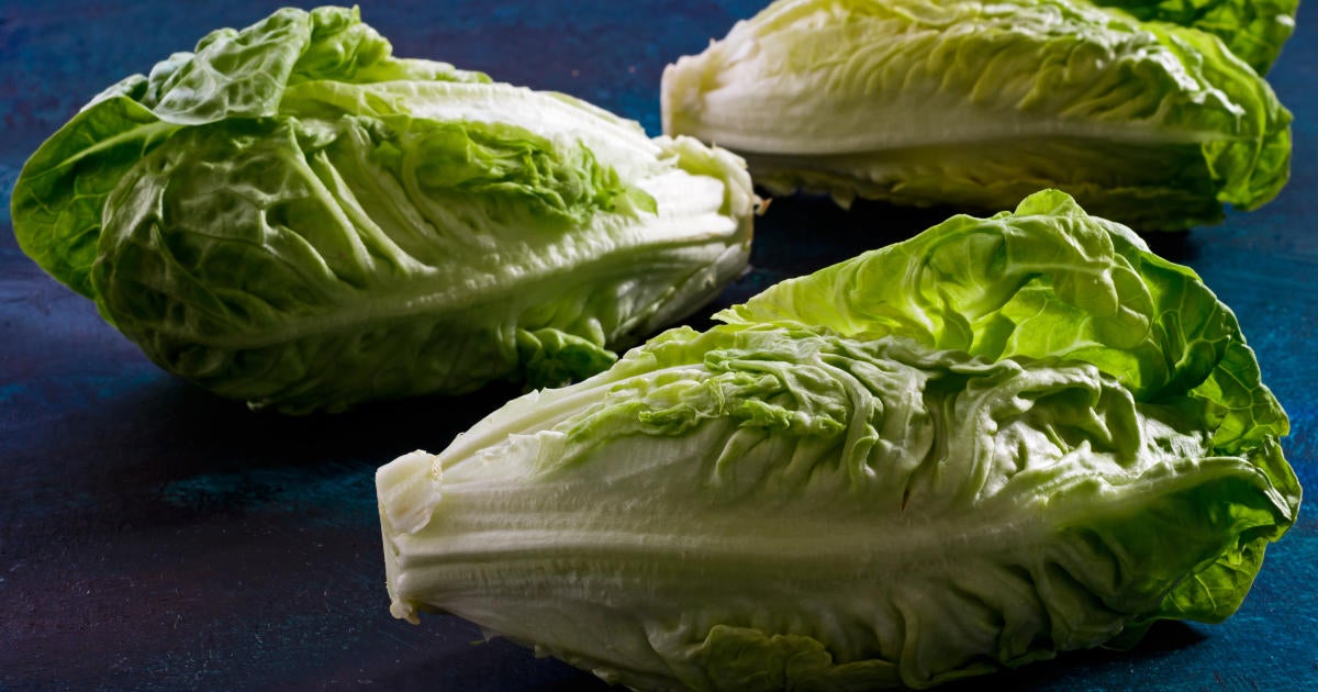 Romaine Lettuce Is Being Recalled After Testing Reveals Parasite