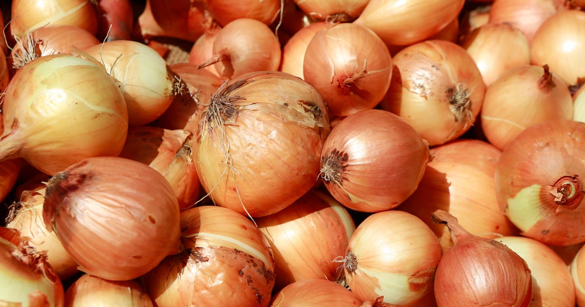 Onions Recalled, Listeria Contamination Possible