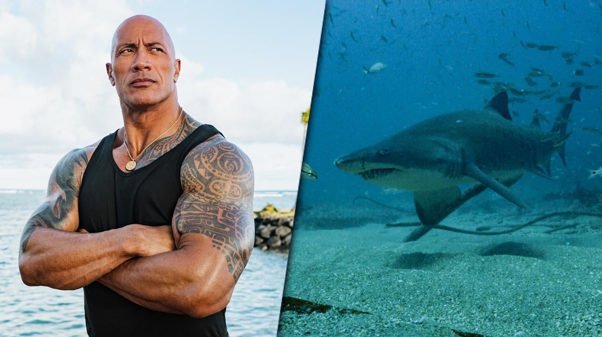 Discovery Channel Releases Full Shark Week Schedule, Dwayne Johnson ...
