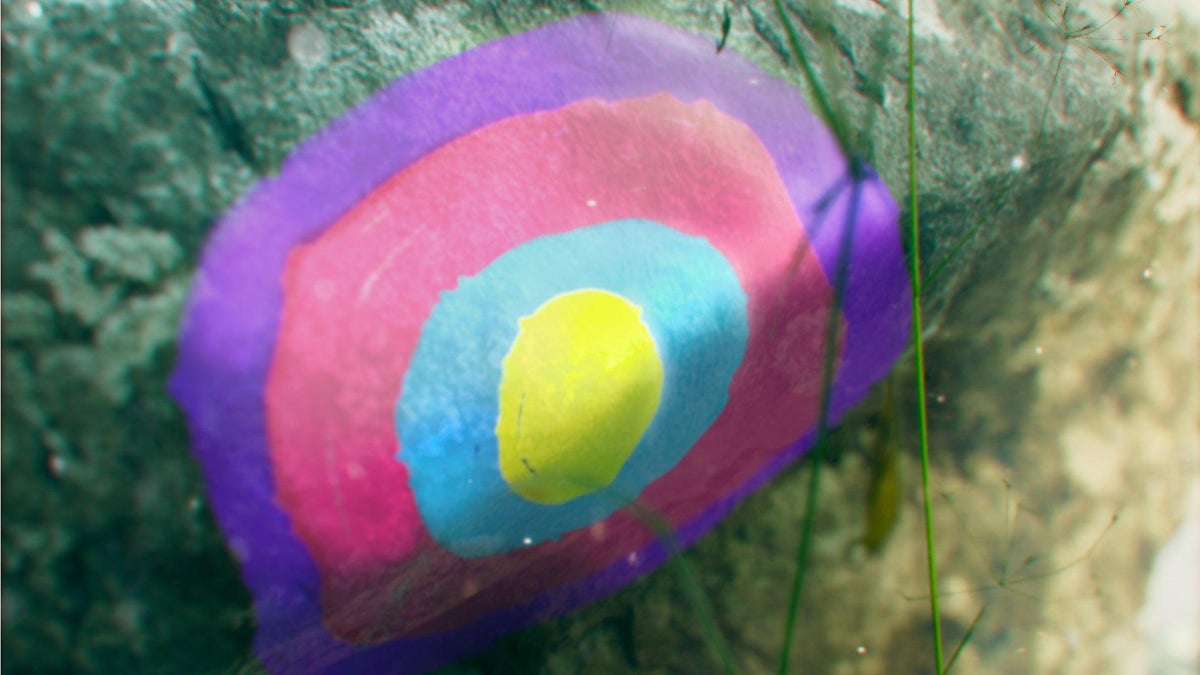 Pokemon Scarlet and Violet Teases New Pokemon With Ties to Famous ...