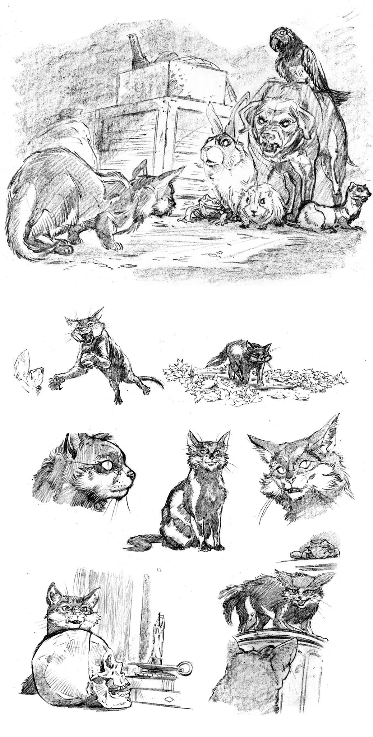 Sabrina's Cat Salem Gets His Own Comic for Halloween