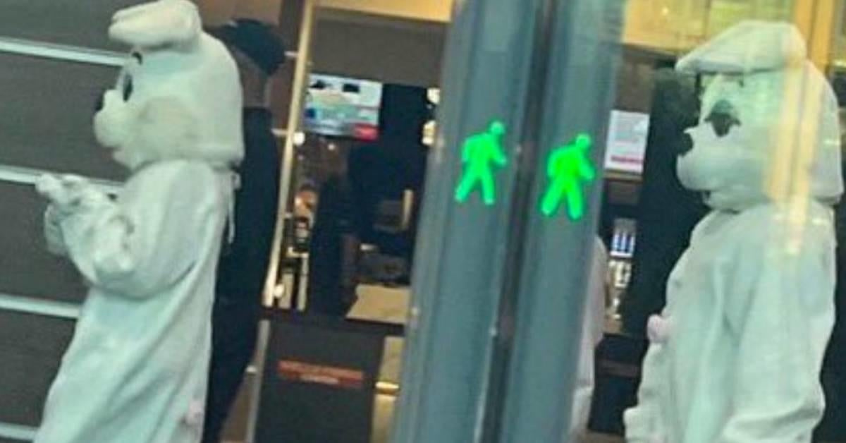 Watch: White Rabbits Have Invaded WWE Extreme Rules