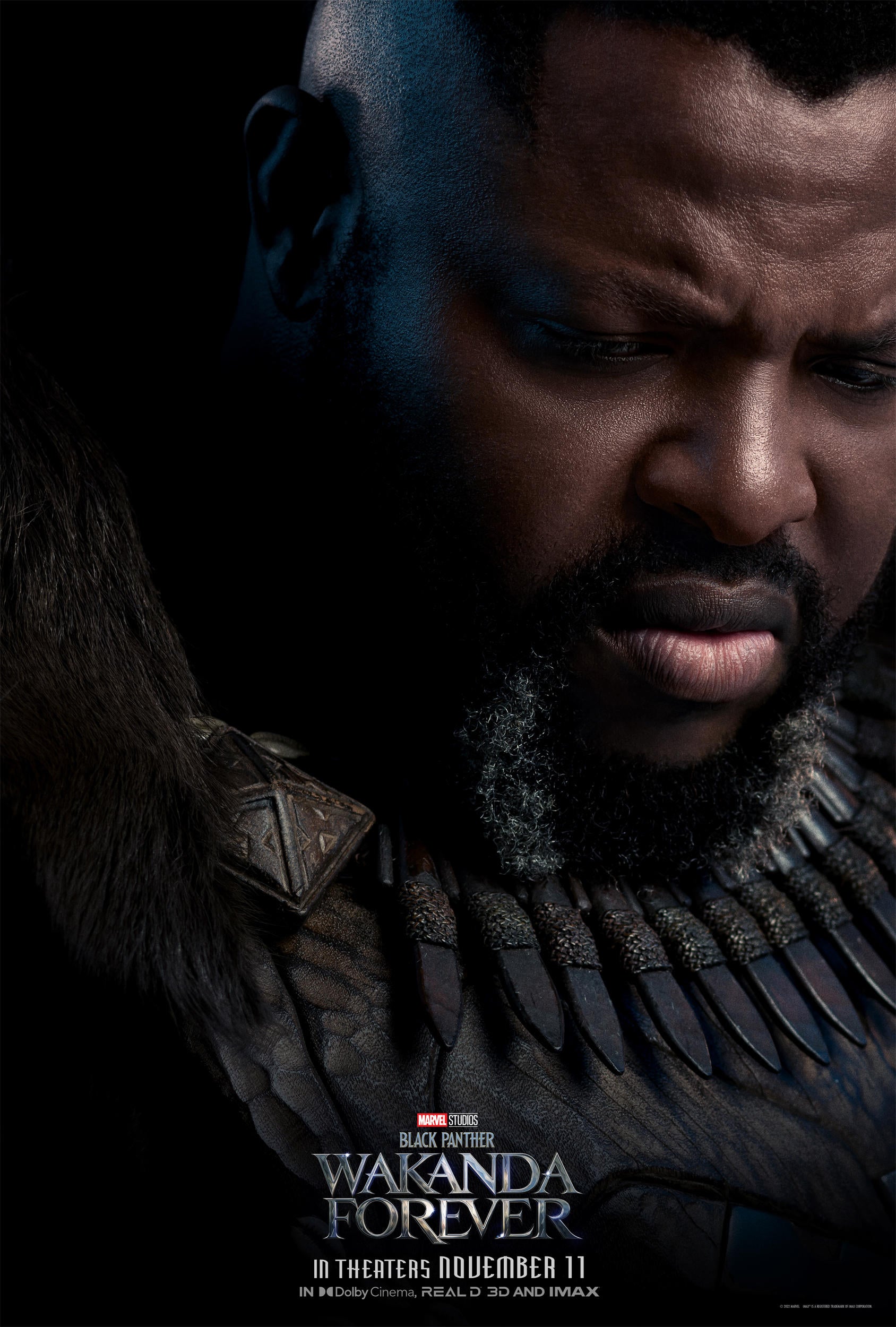 Black Panther: Wakanda Forever Character Posters Released