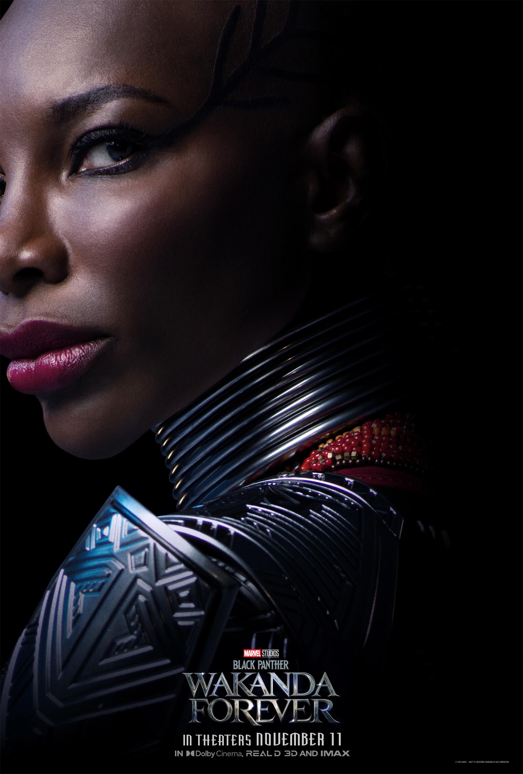 Black Panther: Wakanda Forever Character Posters Released