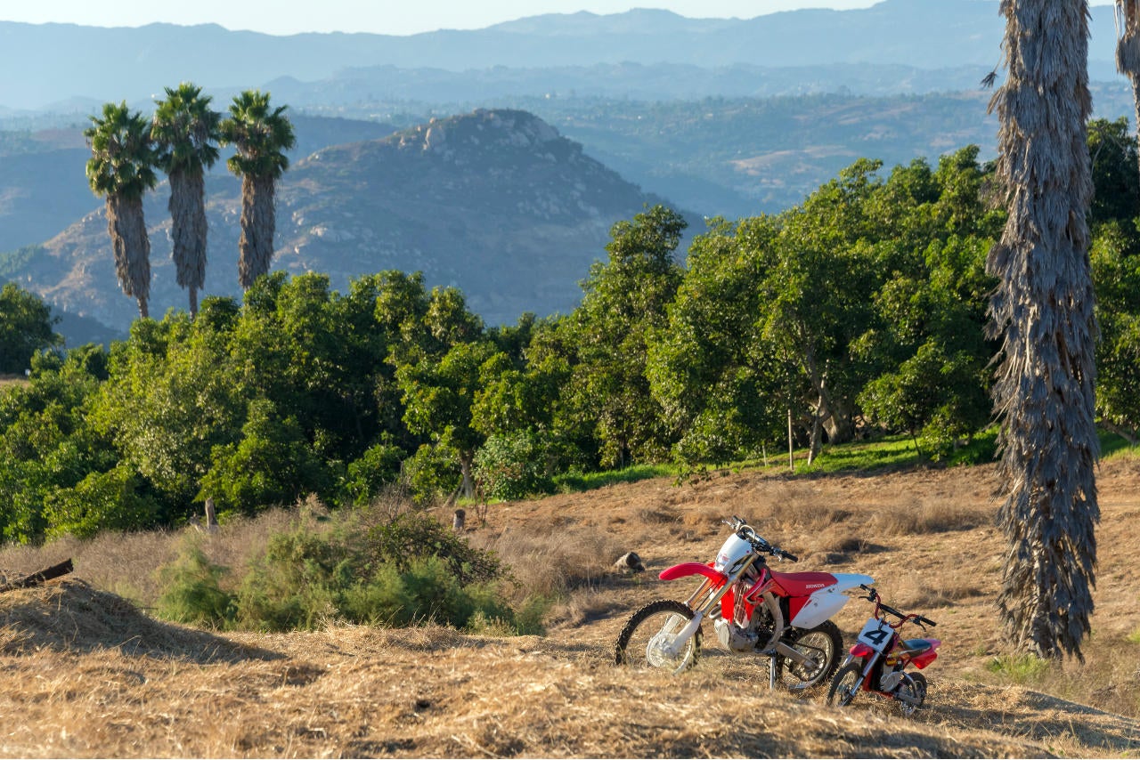 Tour Sandra Bullock's Sprawling 91-Acre San Diego Home Listed for $6 ...