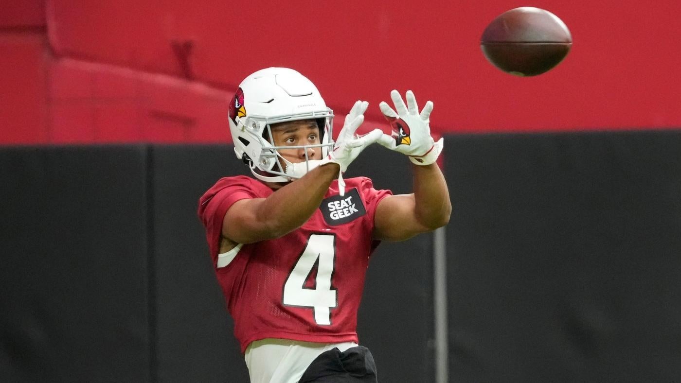 WATCH: Former NFL players LeSean McCoy, Emmanuel Acho witness fight ...