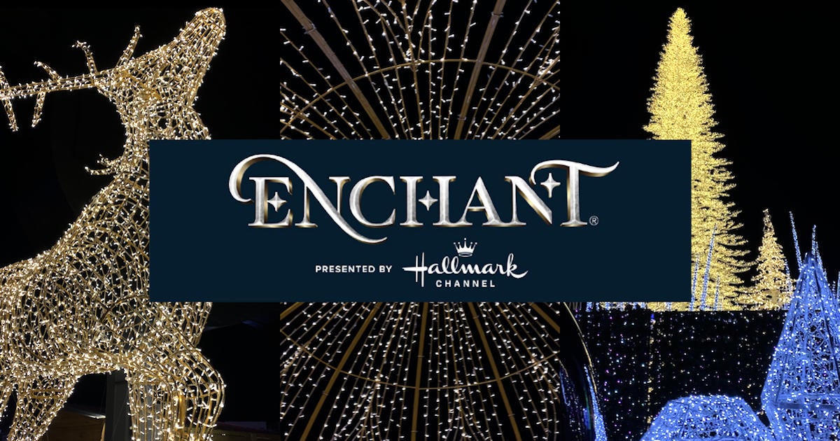 Enchant Nashville Looks to Turn Your Christmas Light Experience Into a ...