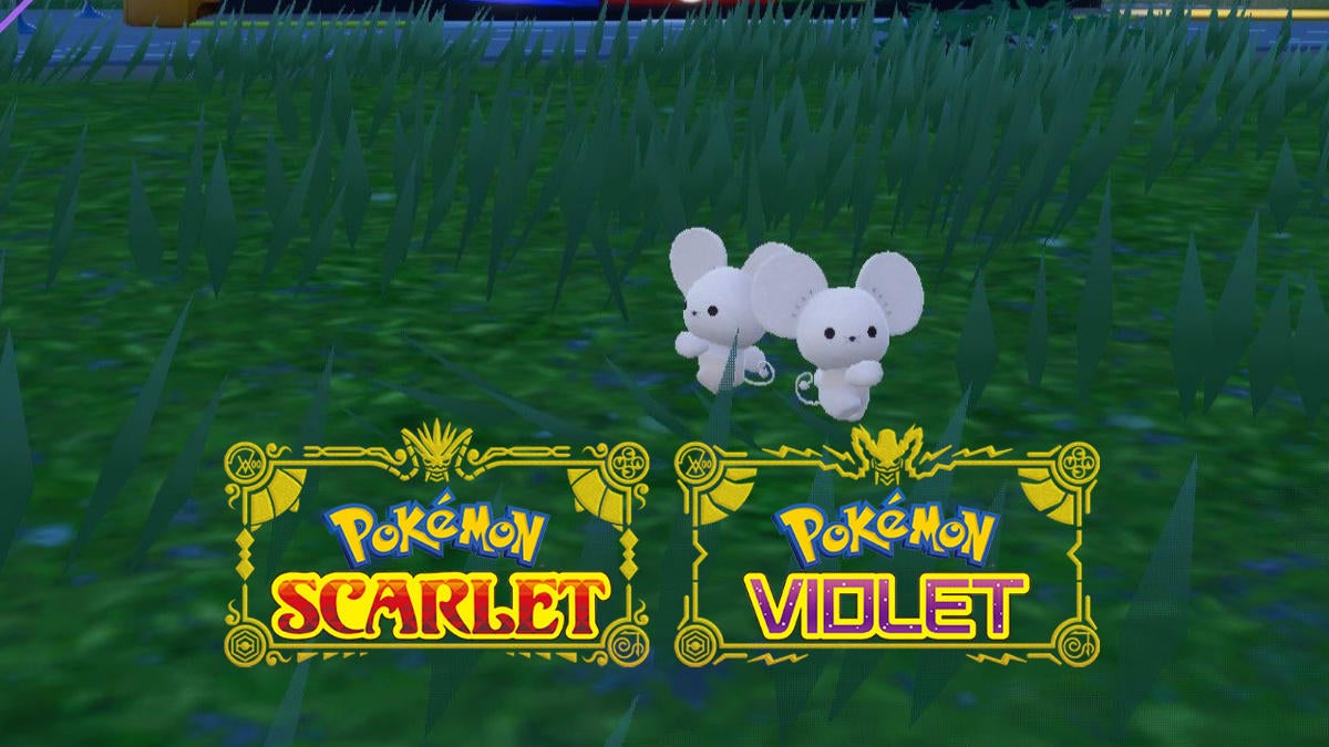 Pokemon Scarlet and Violet Player Hatches Single Tandemaus