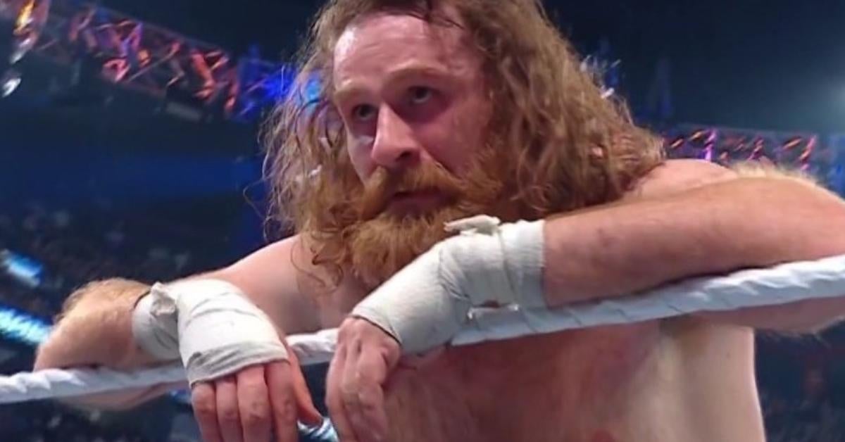 WWE Elimination Chamber: Fans Loved Roman Reigns vs. Sami Zayn Match's Twists and Turns