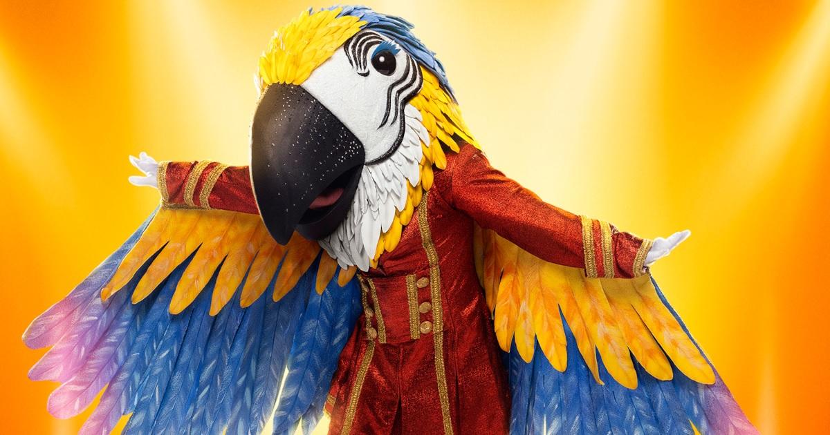'The Masked Singer': Macaw Unmasked as an 'American Idol' Fan-Favorite