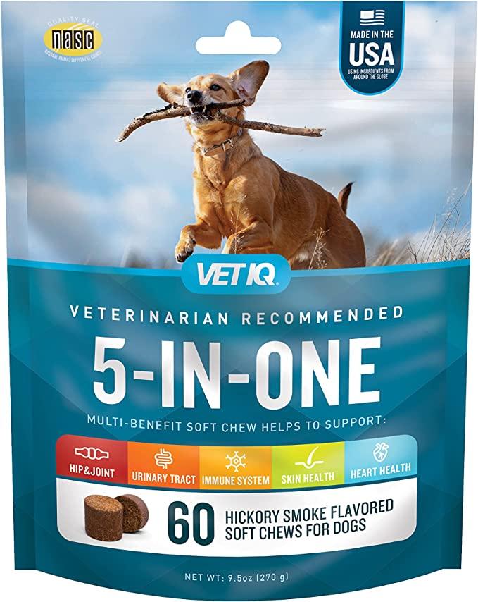 Amazon Pet Day Is Today: You Need to See These Deals