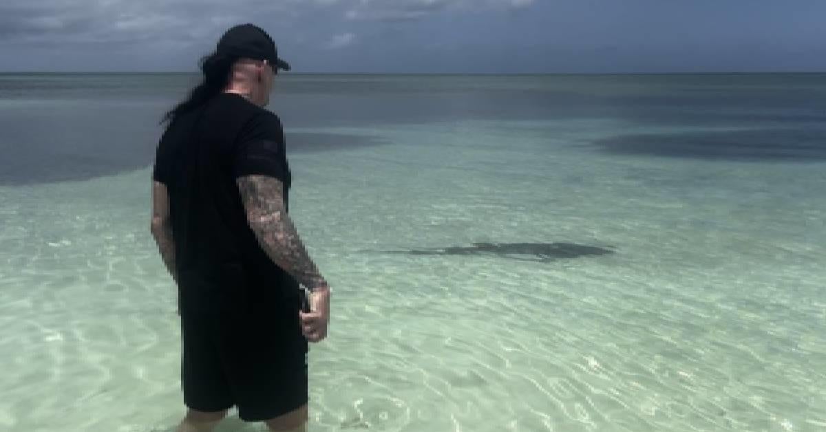 Watch: The Undertaker Protects Michelle McCool From a Shark