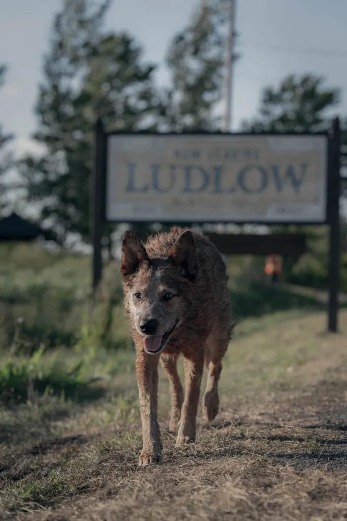 Pet Sematary: Bloodlines First Look Photos Released