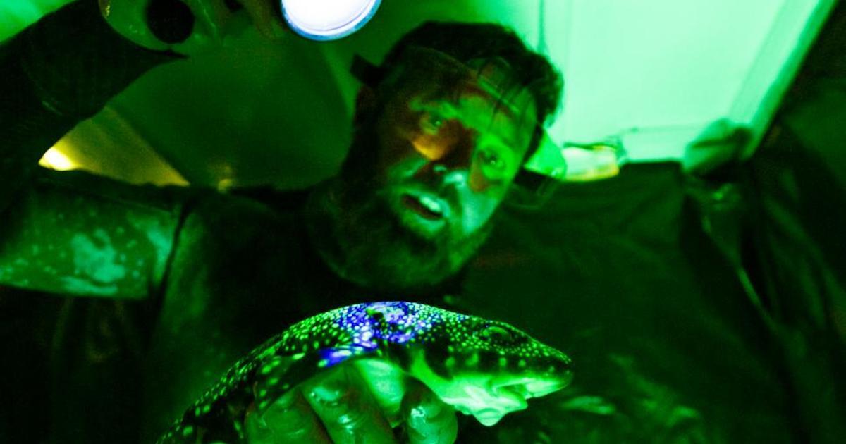 Shark Week's Forrest Galante 'Smitten' With One Species on 'Alien ...