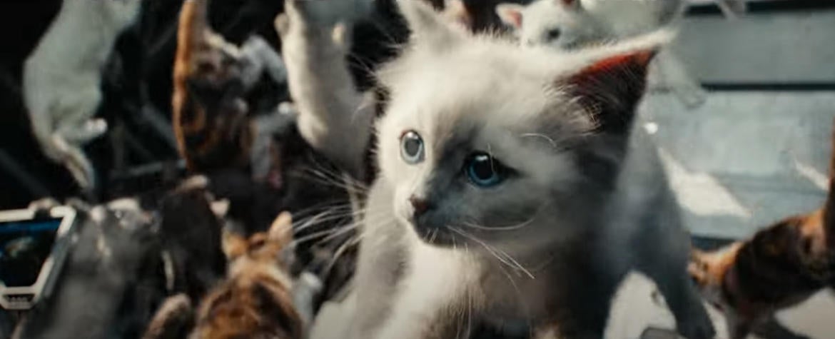 The Marvels Reveals New Look at Baby Flerkens