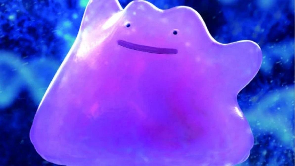 Ditto Fluid