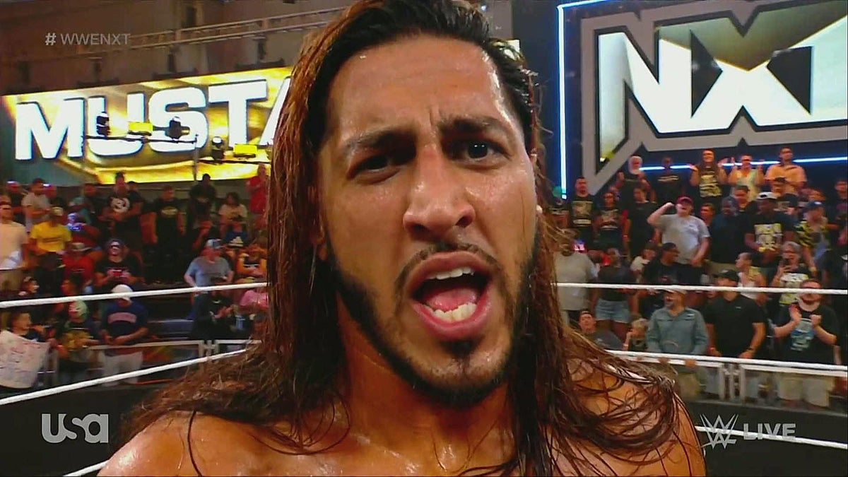 Mustafa Ali Issues Title Challenge on WWE NXT