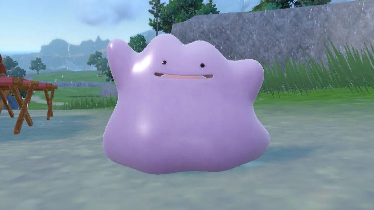 Pokemon Scarlet and Violet Player Discovers Ditto Transformed into Ditto