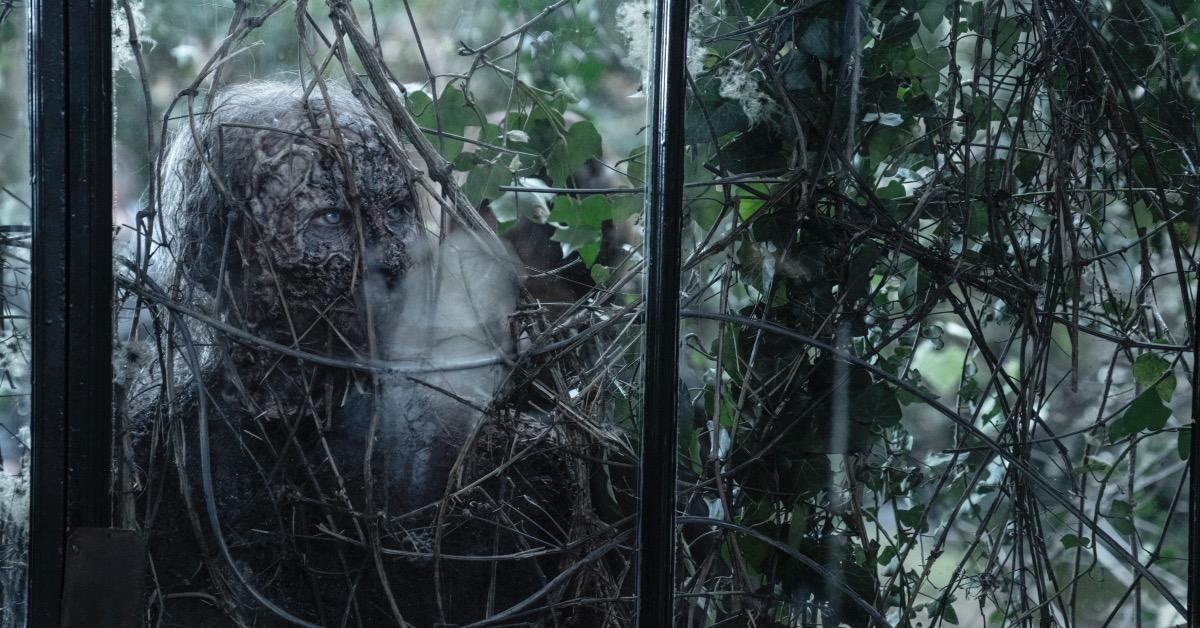 TWD: Daryl Dixon's New Strong Zombies, Explained