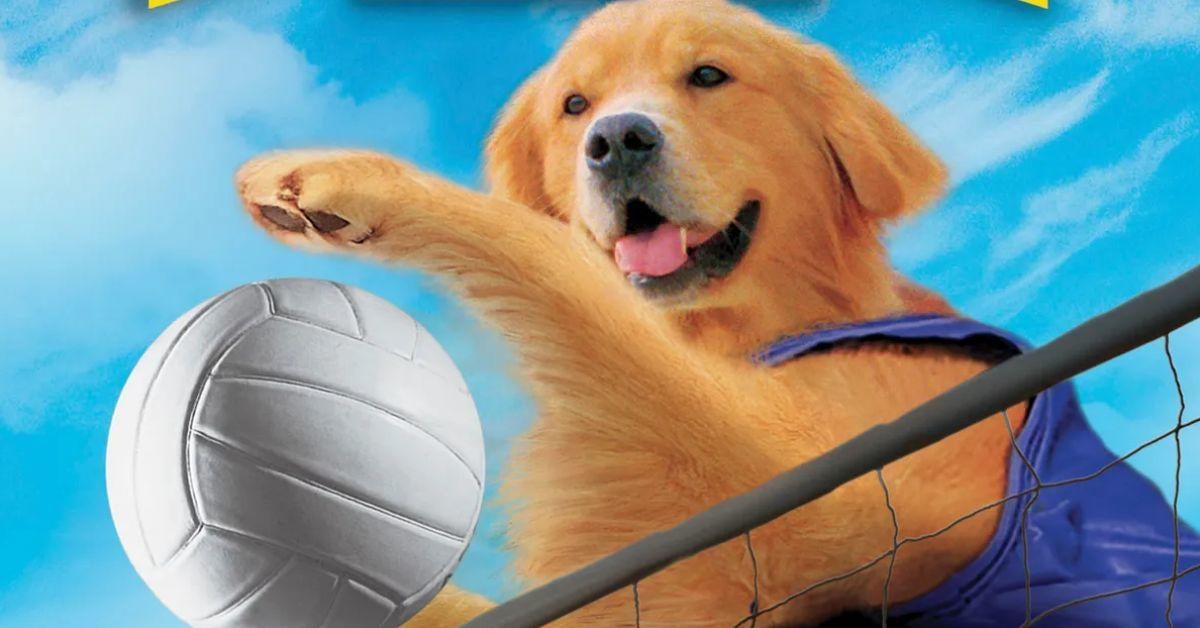Air Bud Movie Collection Now Streaming on Disney+