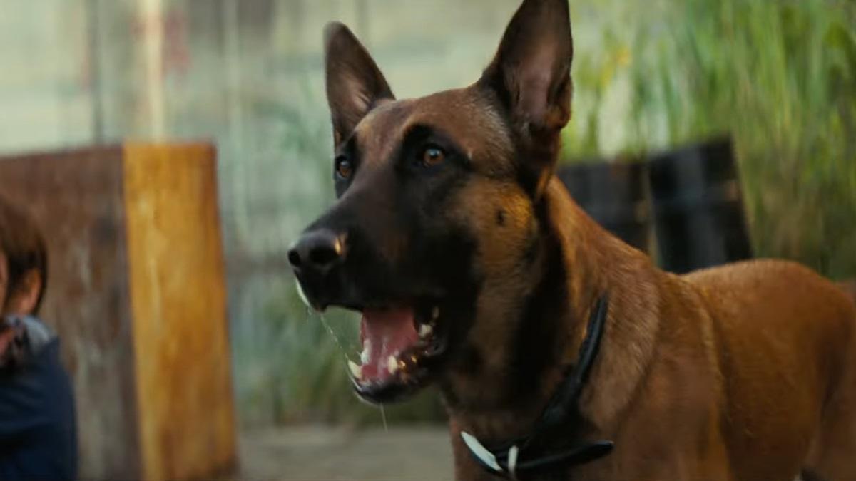 Fallout TV Show's First Trailer Has Bobbleheads, Yao Guai, and More ...