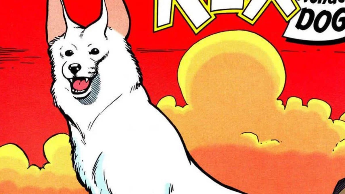 Teen Titans: Which Characters Should Appear in the DCU Movie?