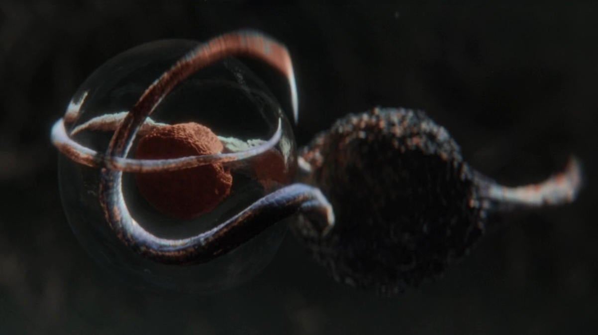 Halo Season 2 Finale Shocks With the Horrific Debut of The Flood