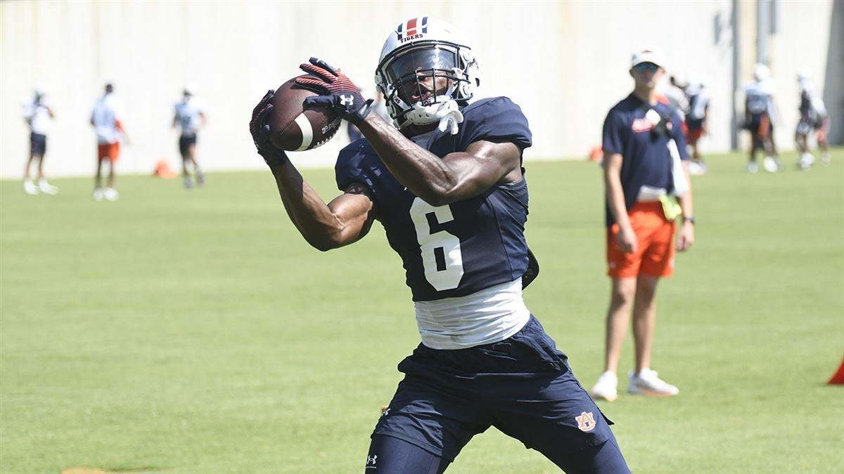 The "secret little man" Bryce Cain aims for big Year 1 Stream of NCAA ...