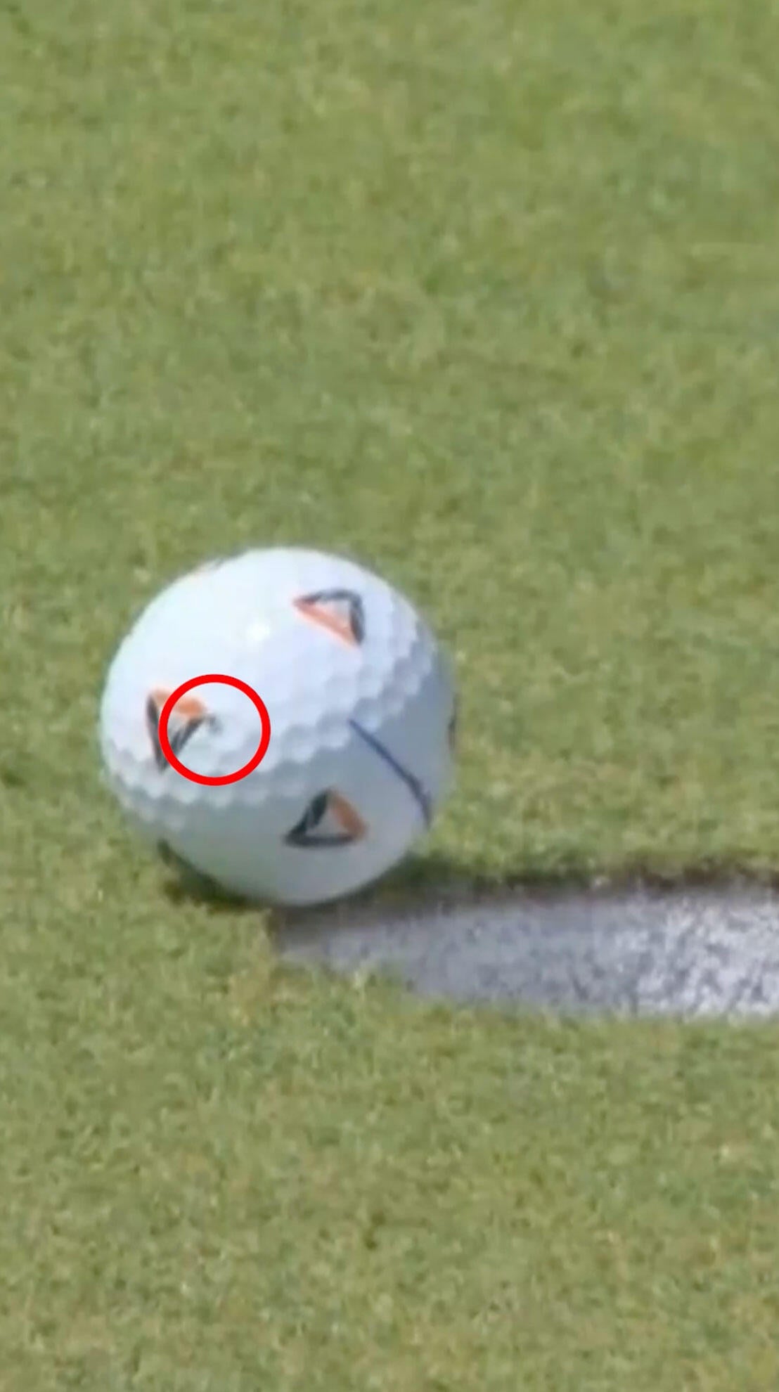 Bug helps bag birdie at BMW Stream of Golf - CBS Sports