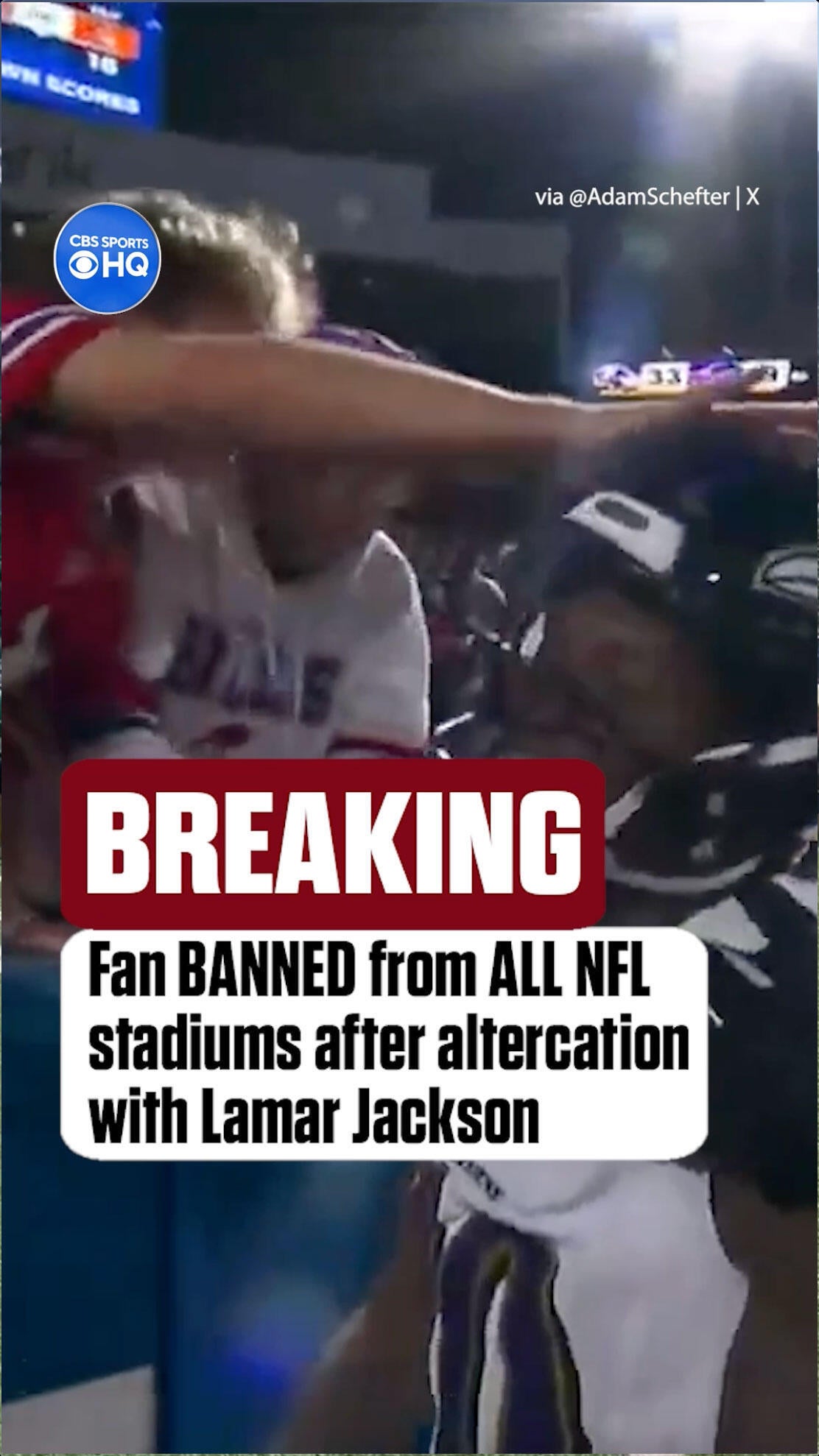 Fan banned from all NFL stadiums Stream of National Football League ...